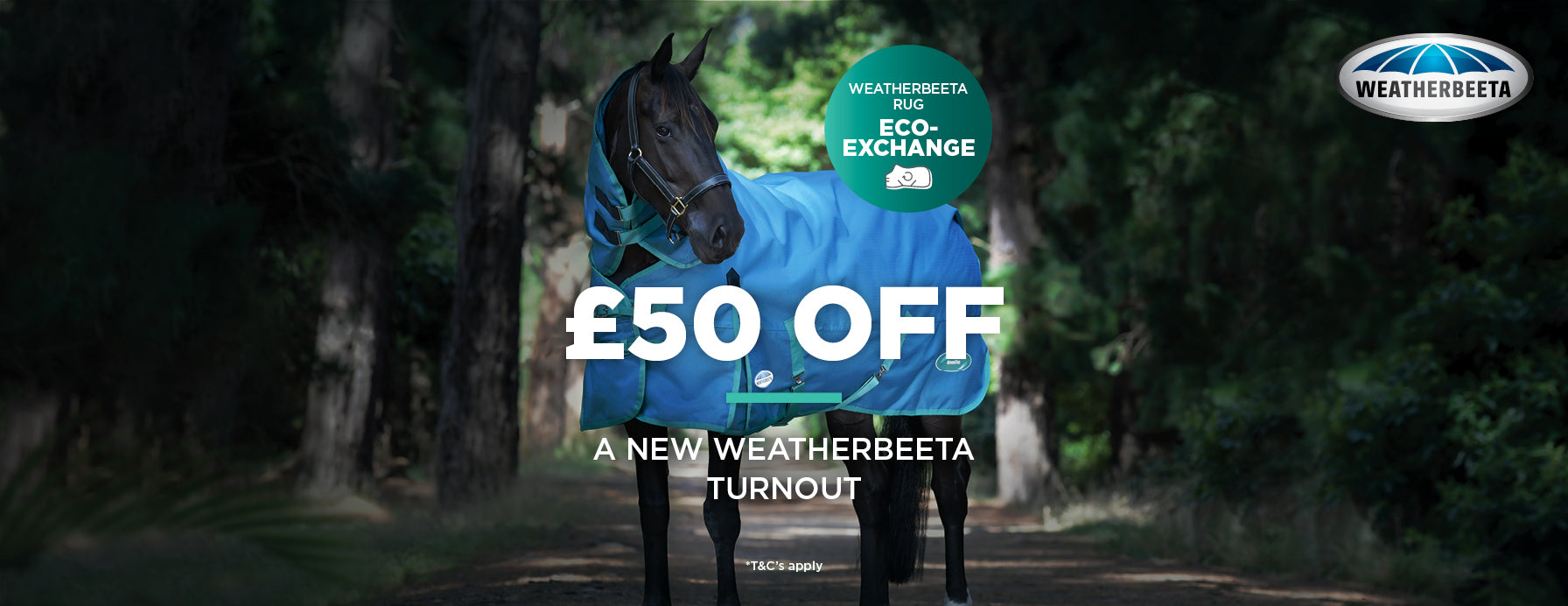 Welcome to the WeatherBeeta Rug Eco-Exchange: Recycle, Save, and Upgra ...